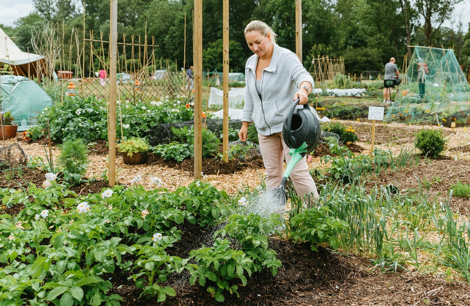 Roots - Allotments of the Future